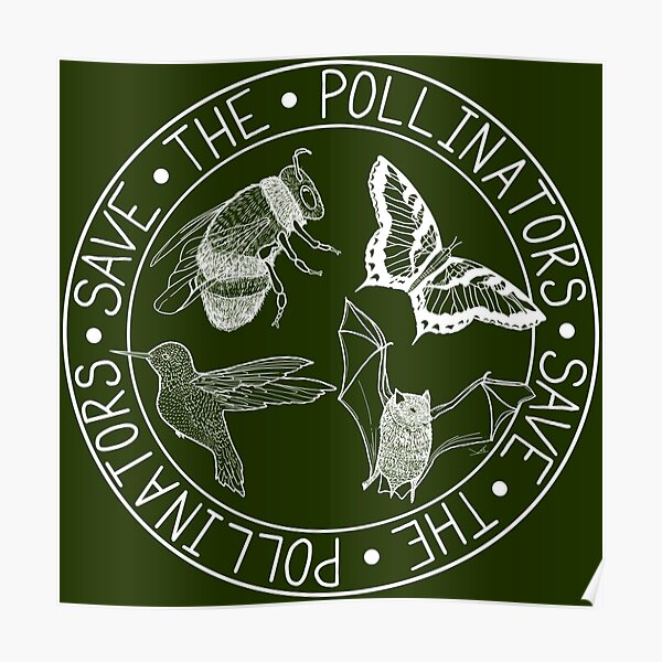 "Save the Pollinators - bee, hummingbird, butterfly, bat -large print ...