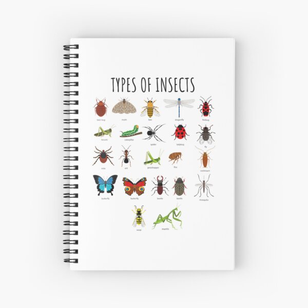 Cuaderno de espiral «Niños Tipos de insectos Insecto Identificación ...