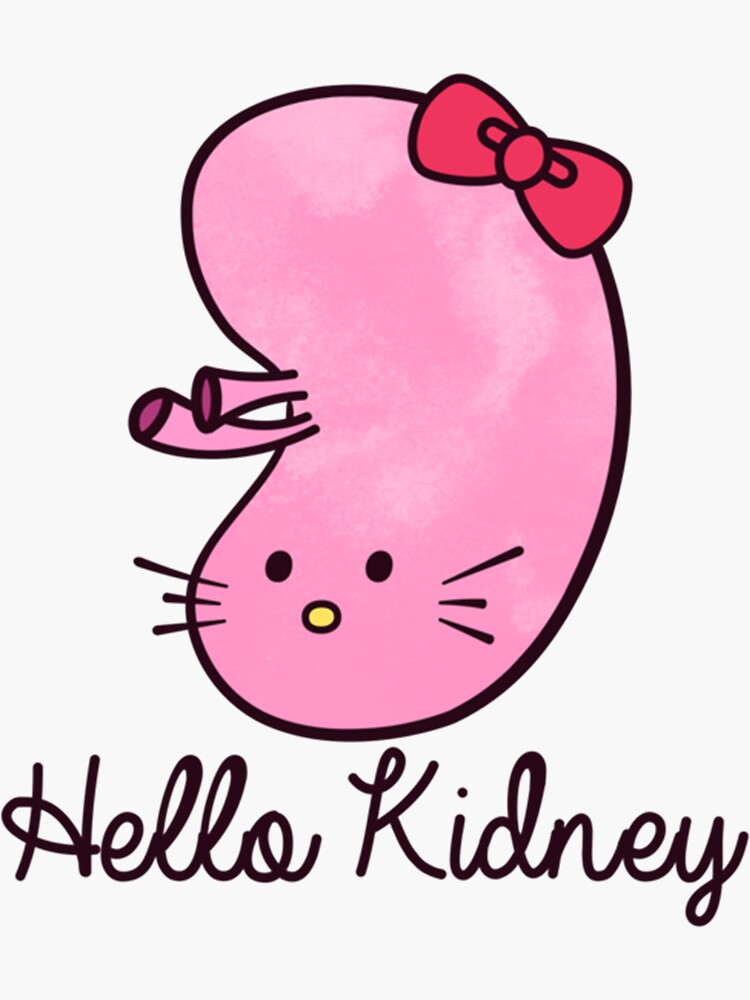 "Hello Kidney Funny Transplant Disease Dialysis Awareness " Sticker for ...