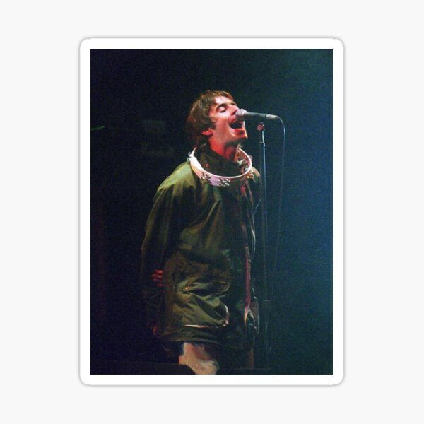 "This Is What Gallagher" Sticker by ellsworthmurray | Redbubble