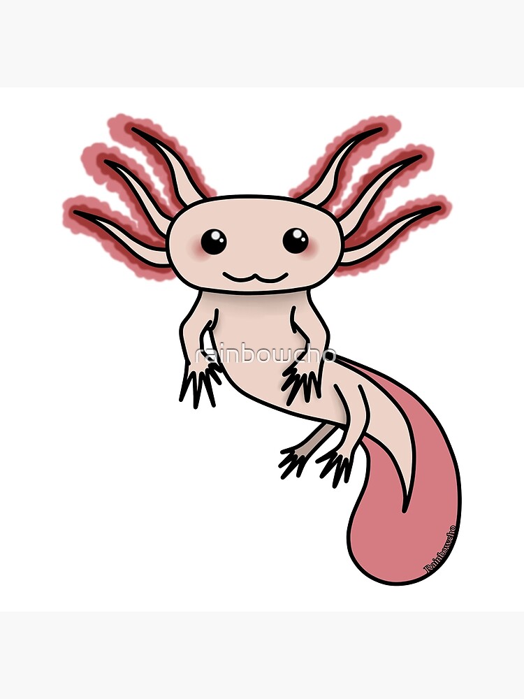 "Chibi Axolotl" Poster for Sale by rainbowcho | Redbubble