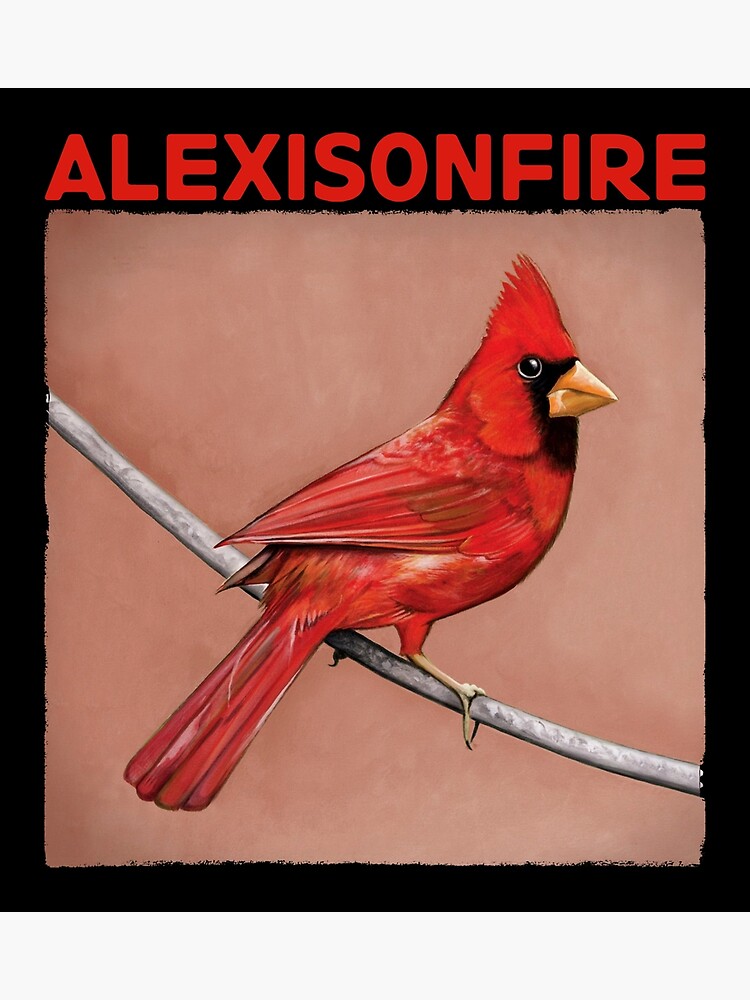"Alexisonfire - Old Crows Young Cardinals" Poster for Sale by ...
