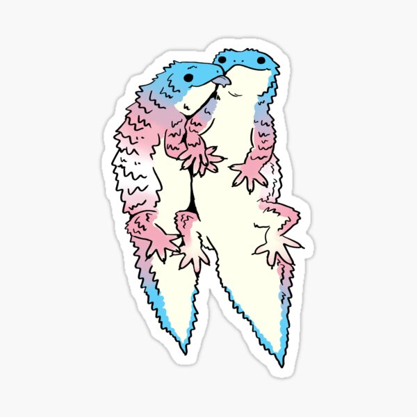 "trans pride lizards" Sticker for Sale by meatosis | Redbubble