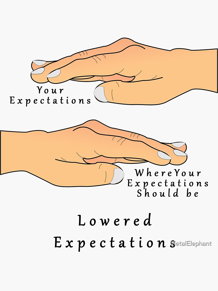 "Lowered Expectations" Sticker for Sale by MetalElephant | Redbubble