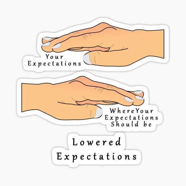 "Lowered Expectations" Sticker for Sale by MetalElephant | Redbubble