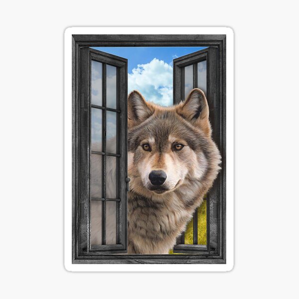 "Wolf windown art " Sticker for Sale by CampenKlein | Redbubble