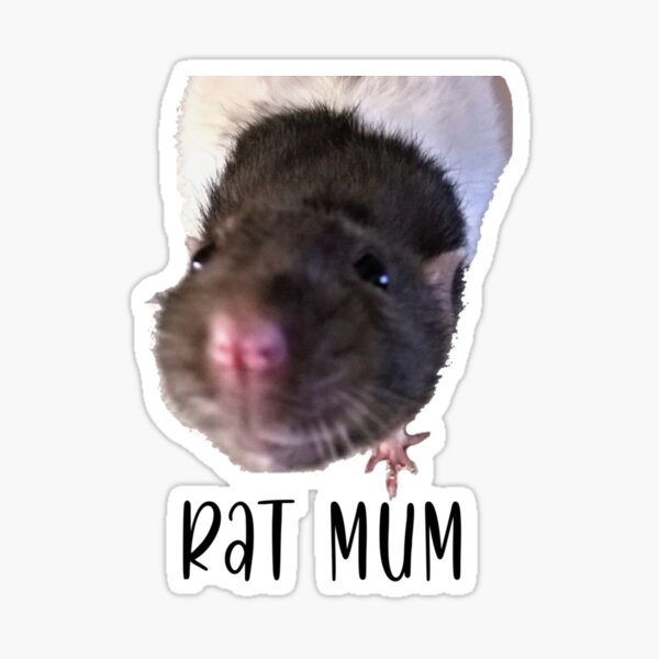 "Rat Mum" Sticker for Sale by aimeetregunno | Redbubble