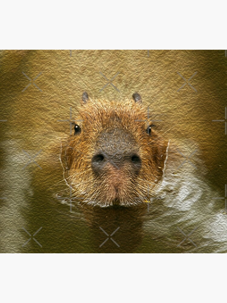 "Capybara swimming" Poster for Sale by friendlyfauna | Redbubble