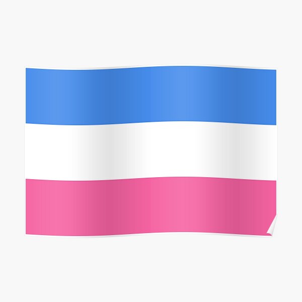 Heterosexual Pride Flag Poster For Sale By Flagsworld Redbubble