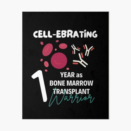 "Celebrating one year anniversary of Stem cell transplant | bone marrow ...