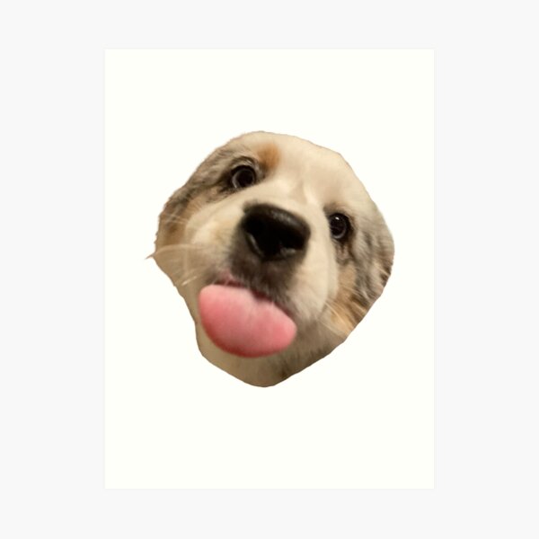 "Tank Jr. licky face" Art Print for Sale by ARTbyER | Redbubble