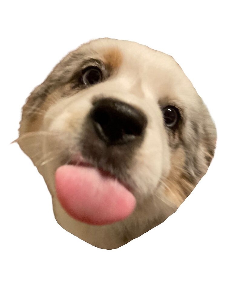 "Tank Jr. licky face" Art Print for Sale by ARTbyER | Redbubble