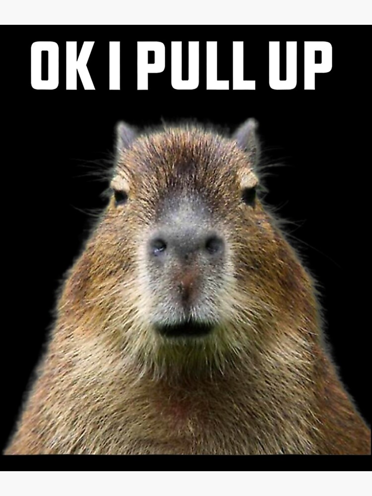 "Ok I Pull Up Capybara" Poster for Sale by fuzzybeastie950 | Redbubble