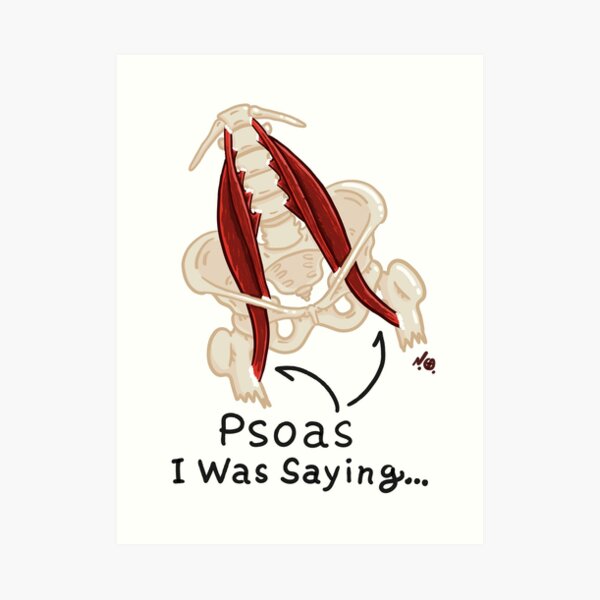 "Psoas (So as) I Was Saying - Anatomy Pun :D" Art Print for Sale by ...