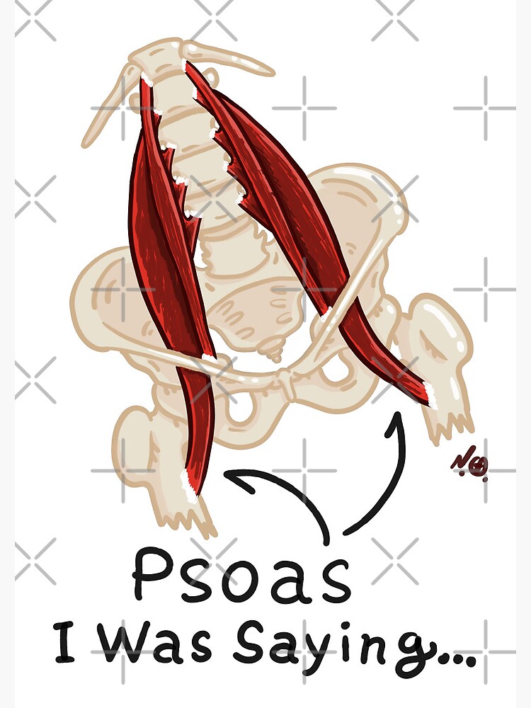 "Psoas (So as) I Was Saying - Anatomy Pun :D" Spiral Notebook for Sale ...