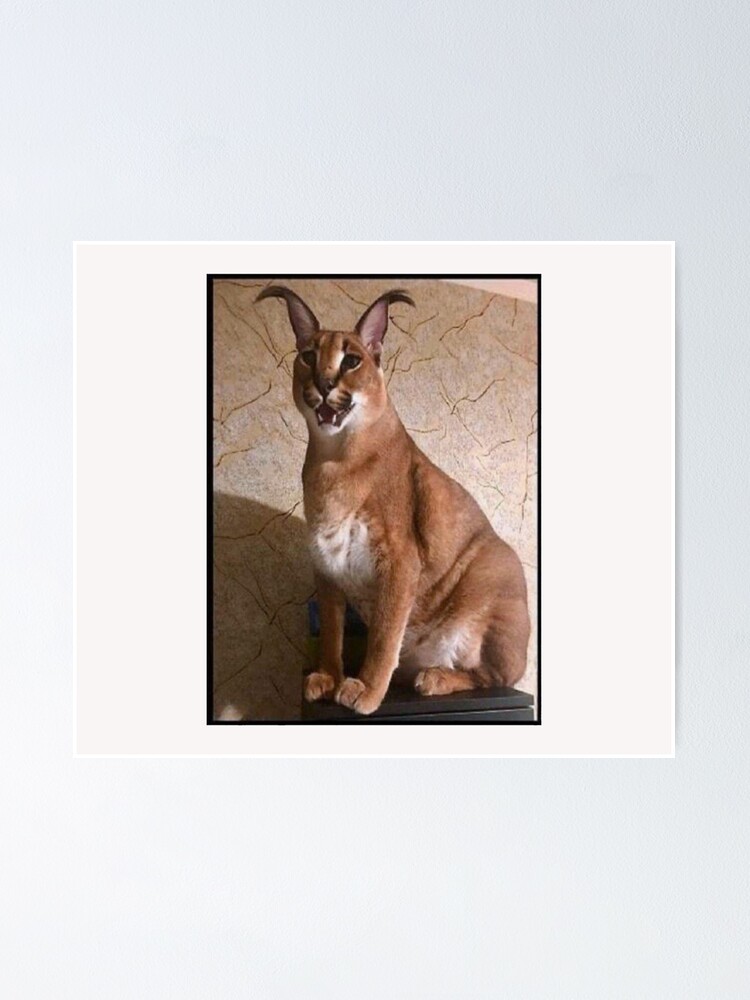 "funny big floppa cool cat meme funny cat T-shirt" Poster for Sale by ...