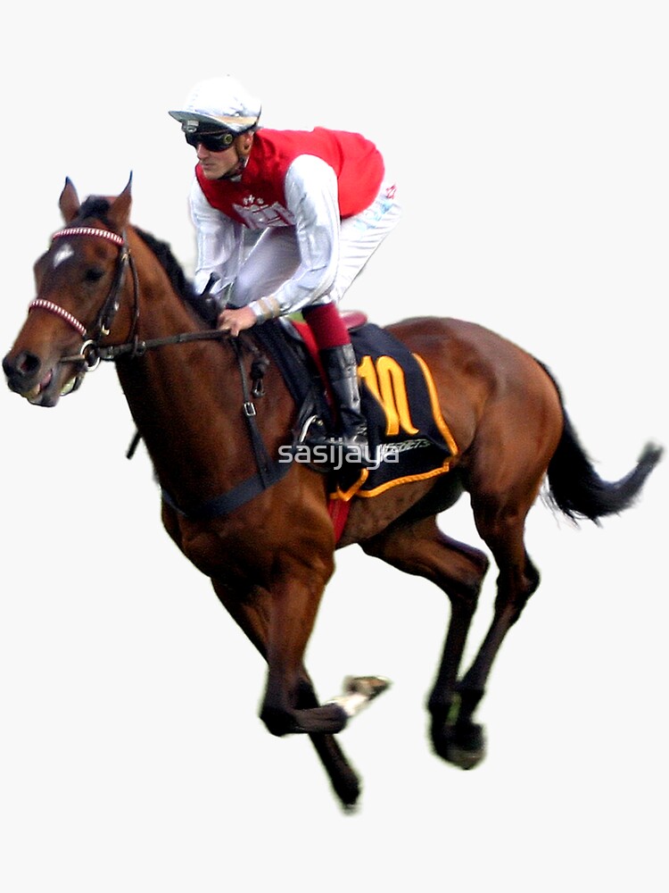 "Horse Racing" Sticker for Sale by sasijaya | Redbubble