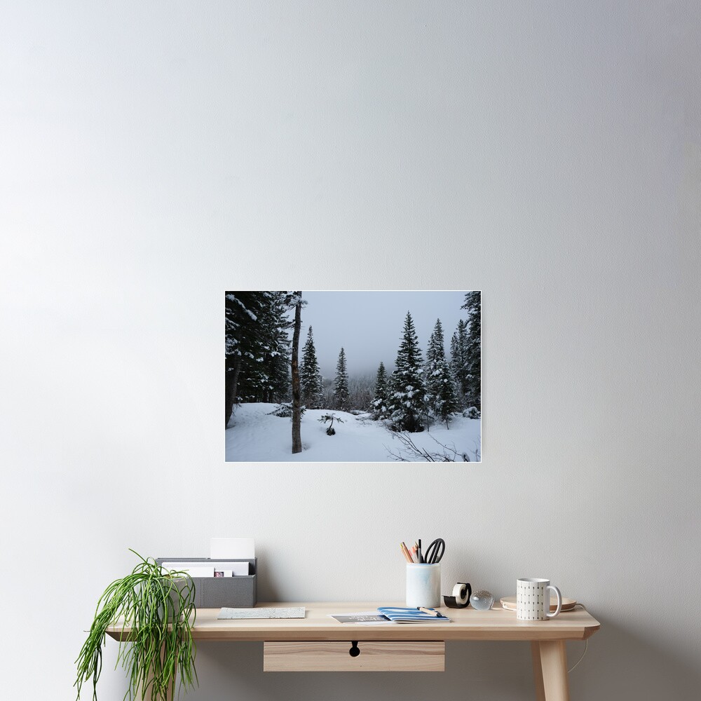 "Colorado" Poster for Sale by Haley-Marshall | Redbubble
