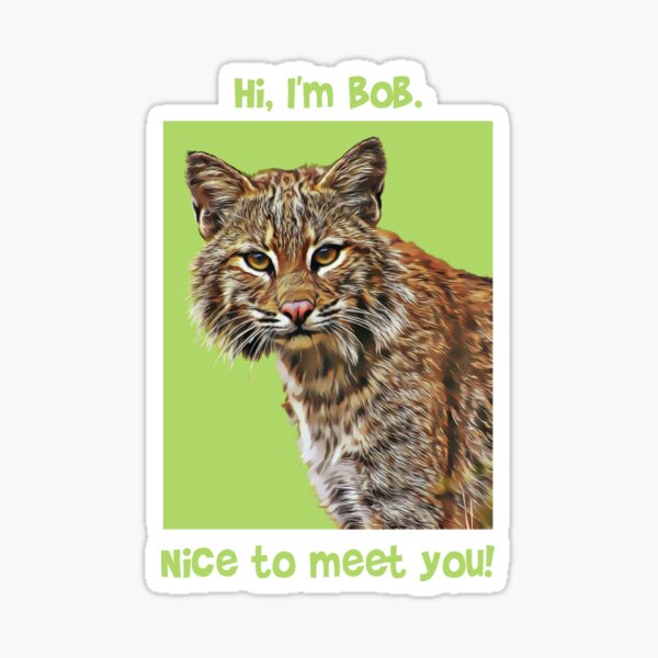 ""Hi, I'm Bob" Fun Bobcat Design" Sticker for Sale by NiftyTees | Redbubble