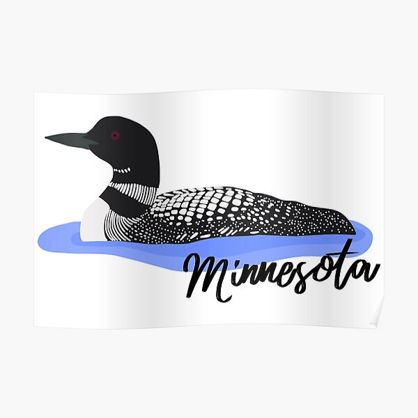 "Common Loon Minnesota Drawing" Poster for Sale by annaryburn | Redbubble