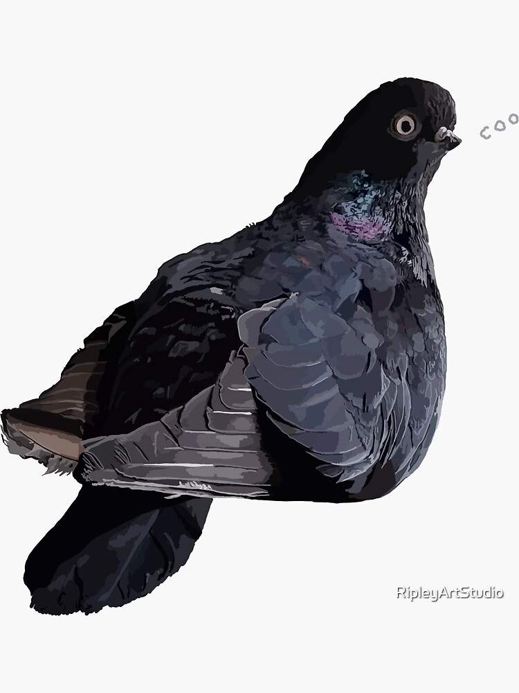 "Pebble" Sticker for Sale by RipleyArtStudio | Redbubble