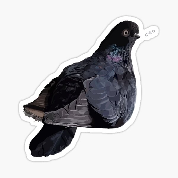 "Pebble" Sticker for Sale by RipleyArtStudio | Redbubble