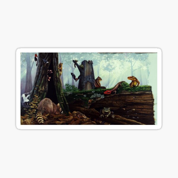"Forest Animal Life in a Dead Tree" Sticker by ScienceSource | Redbubble