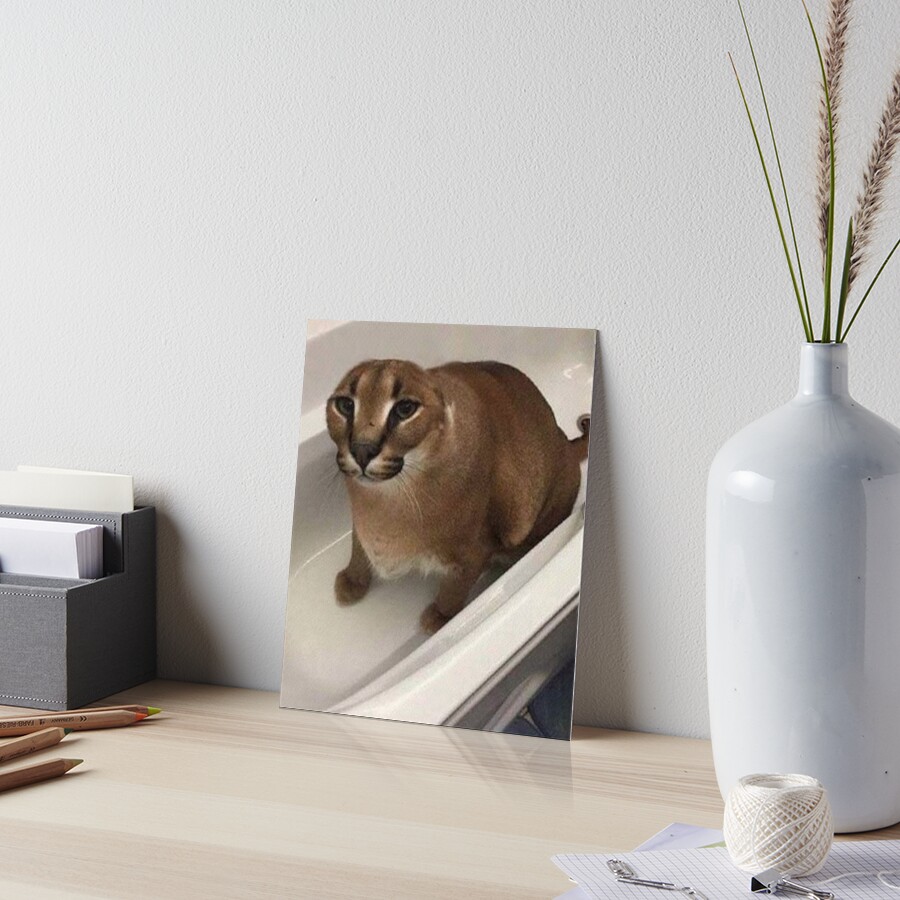 "Big folopa meme " Art Board Print by momshow | Redbubble