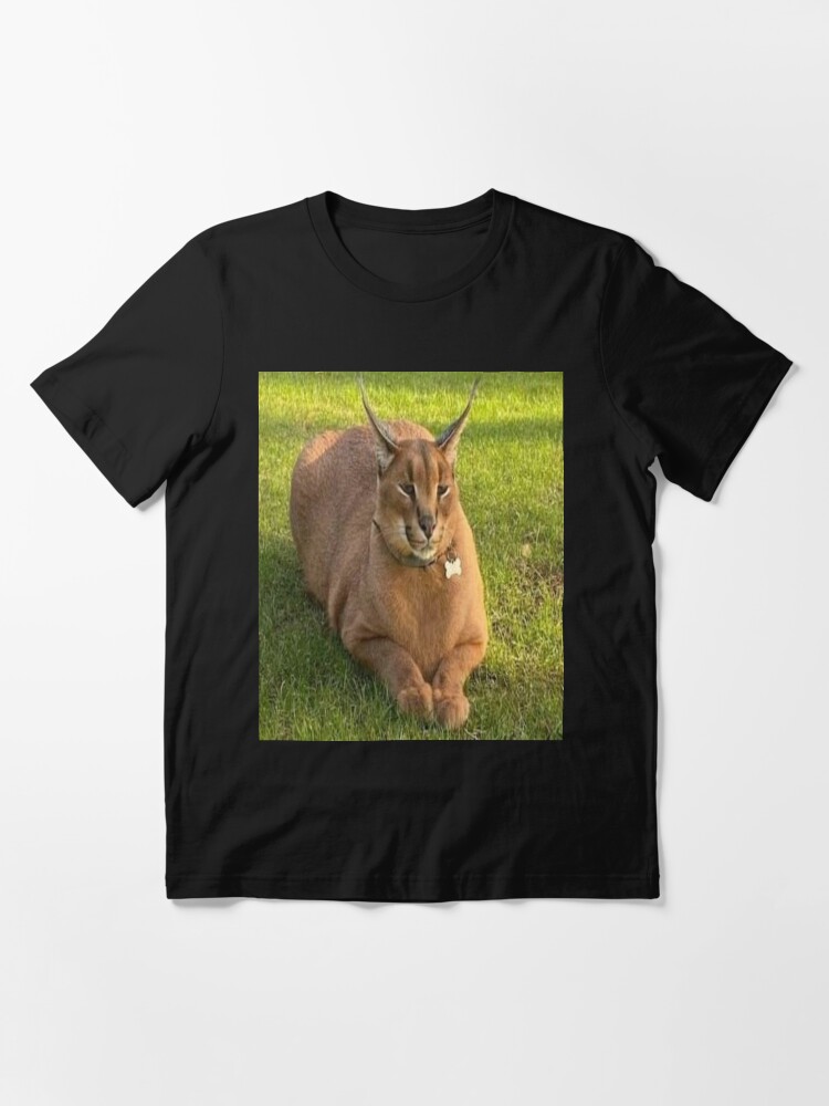 "FLOOpa funny floppa" T-shirt for Sale by momshow | Redbubble | big ...