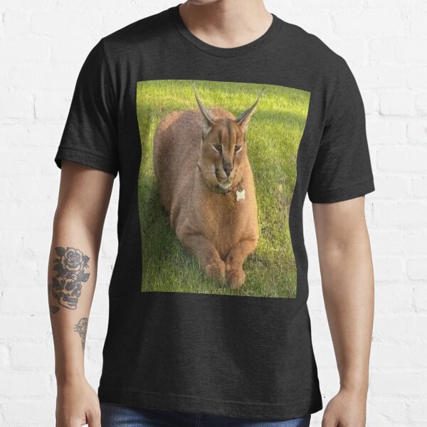 "FLOOpa funny floppa" T-shirt for Sale by momshow | Redbubble | big ...