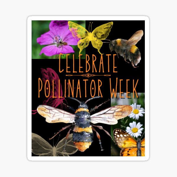 "Celebrate Pollinator Week Colorful Design" Sticker for Sale by ...