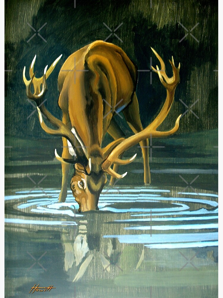 "Stag Drinking at the Pool" Poster by junglequeen | Redbubble