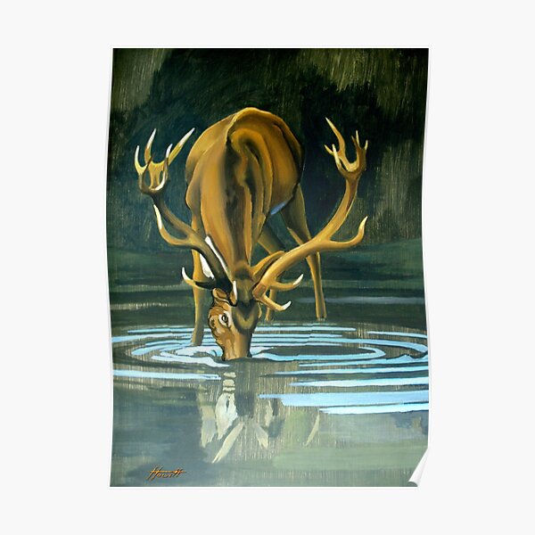 "Stag Drinking at the Pool" Poster by junglequeen | Redbubble