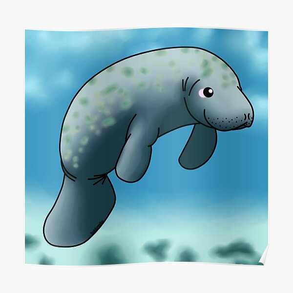 "Manatee chibi" Poster by rainbowcho | Redbubble