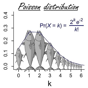 "Poisson distribution - The probability of fish! " Canvas Print for ...