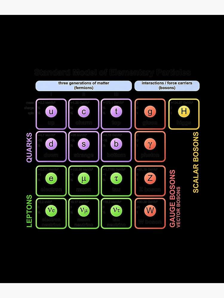 Particles Standard Model Higgs Boson STEM Physics Teacher Premium ...