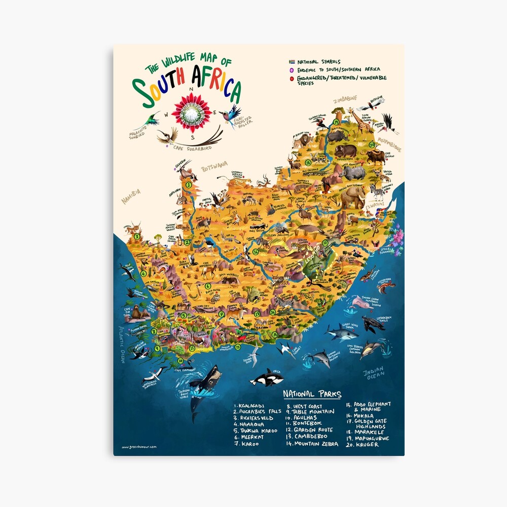 South Africa Animal Map