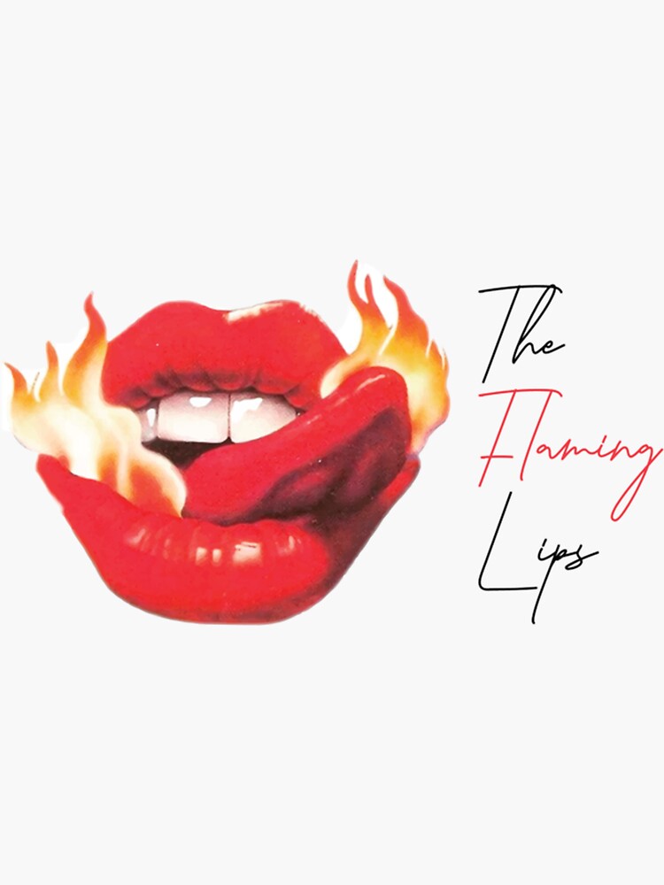 "The Flaming Lips " Sticker for Sale by Vintagerz | Redbubble