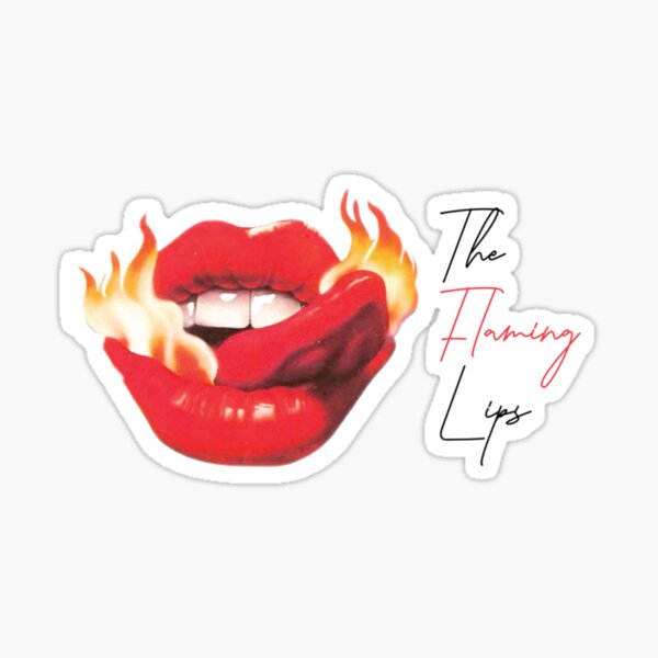 "The Flaming Lips " Sticker for Sale by Vintagerz | Redbubble
