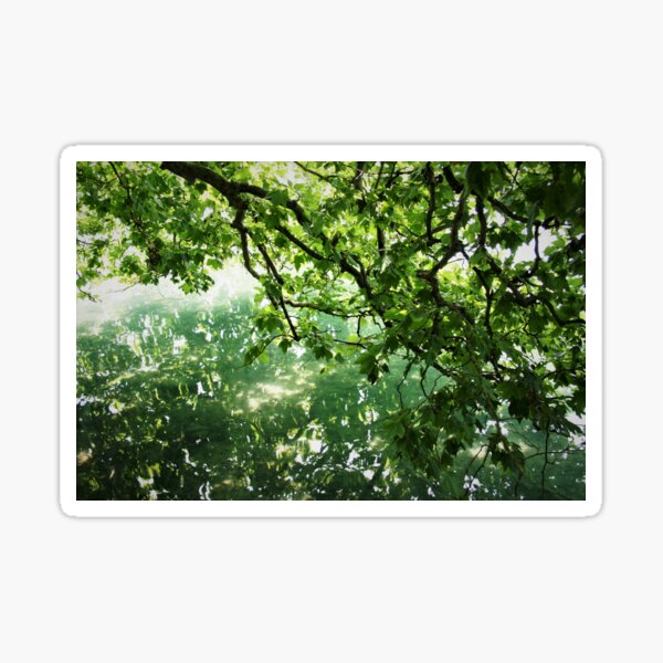 "cool shade" Sticker for Sale by Hannah-FineArts | Redbubble