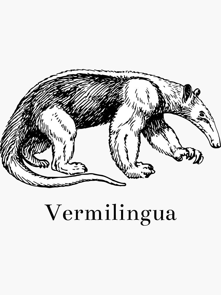 "Anteater – Vermilingua" Sticker for Sale by freekZOID | Redbubble