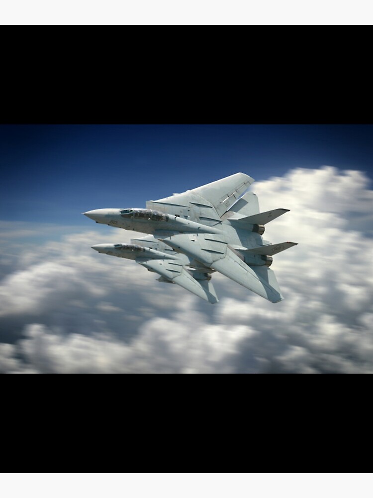 "VF-101 Grim Reapers Long " Poster for Sale by ASpiceForLife | Redbubble