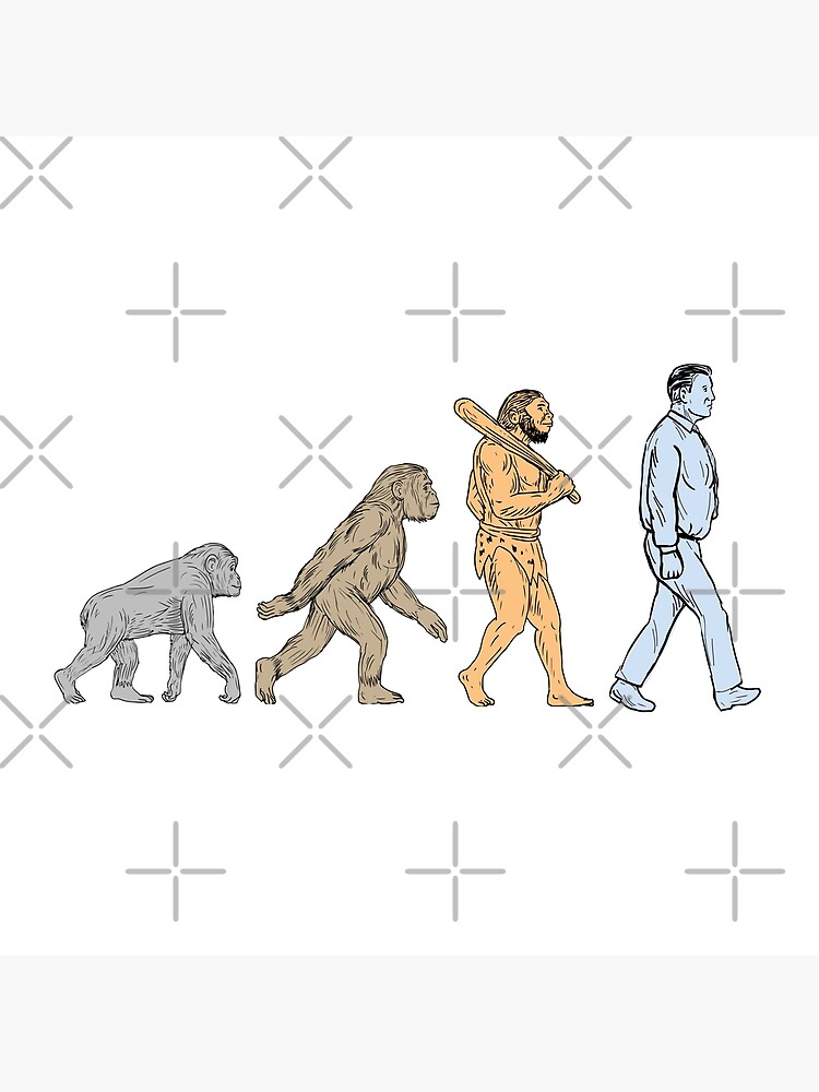"Human Evolution Walking Drawing" Poster for Sale by patrimonio | Redbubble