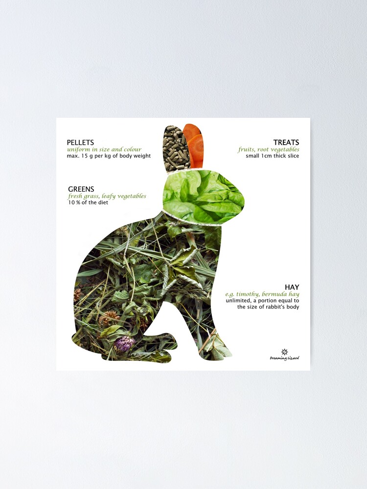 "healthy rabbit's diet" Poster for Sale by DreamingLizard | Redbubble