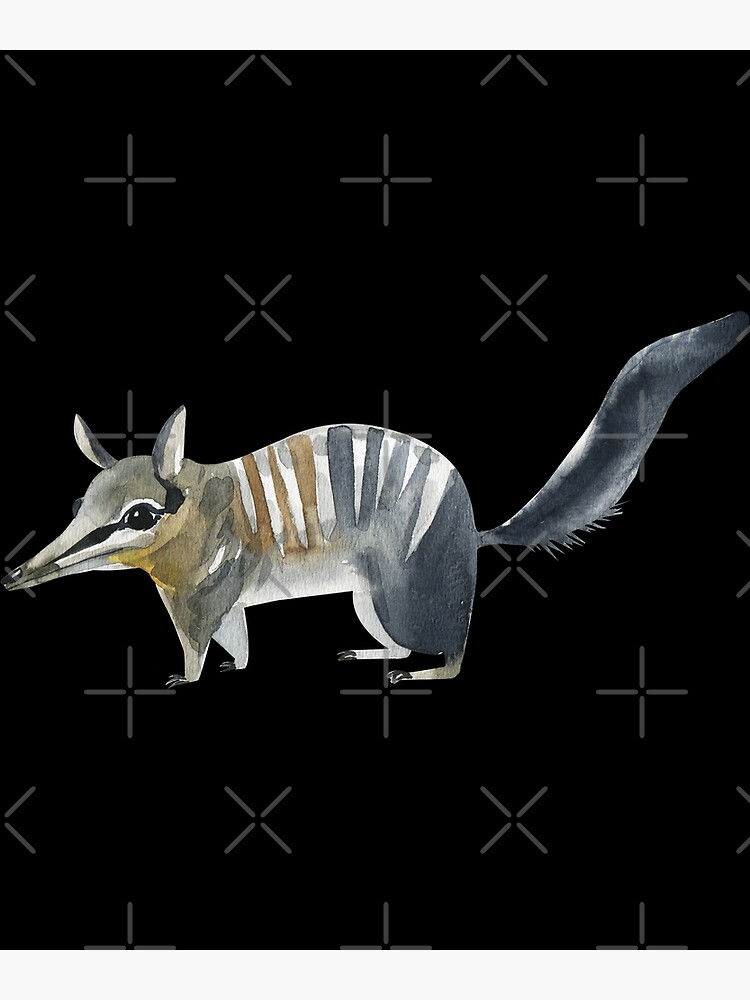 Póster «Linda acuarela Numbat, la mejor idea de regalo para Numbat Dad ...