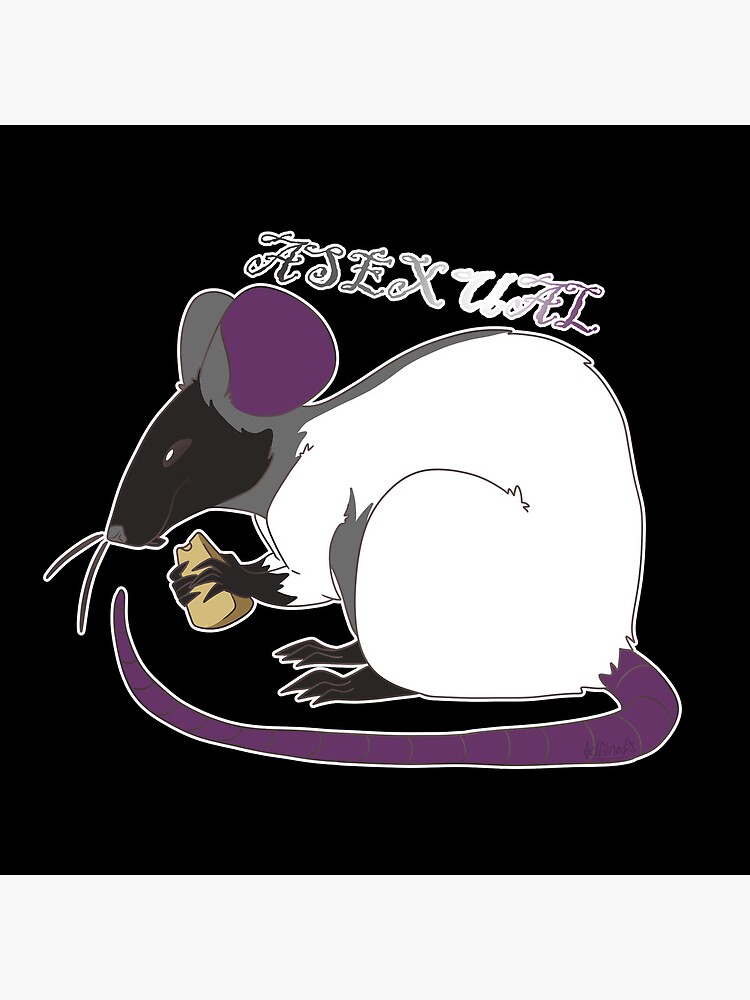 "Pride Month Asexual Rat" Poster for Sale by JeffiinaPie | Redbubble