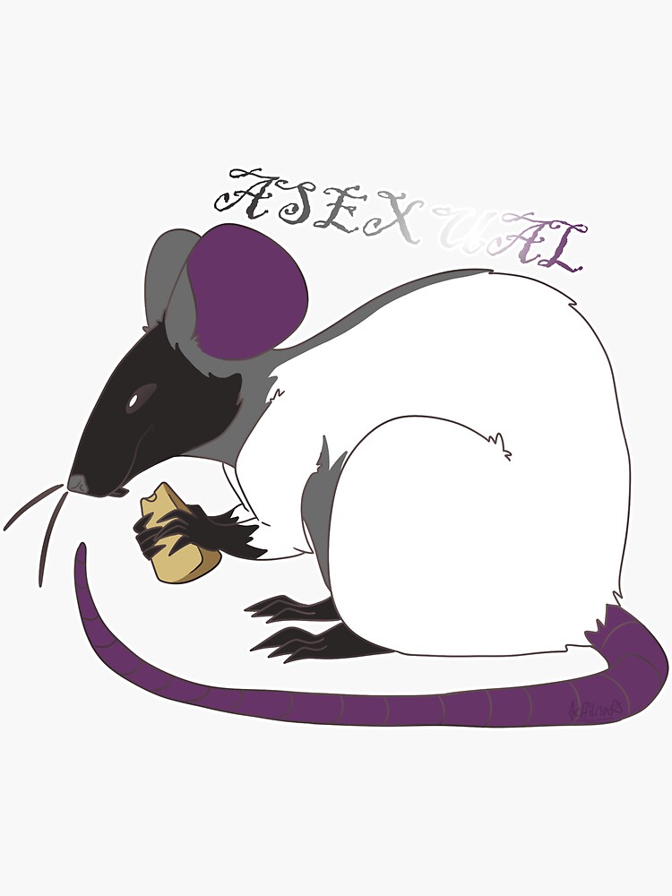 "Pride Month Asexual Rat" Sticker for Sale by JeffiinaPie | Redbubble