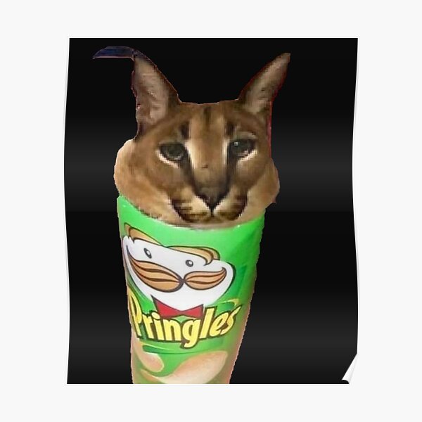 "floppa meme funny" Poster for Sale by momshow | Redbubble