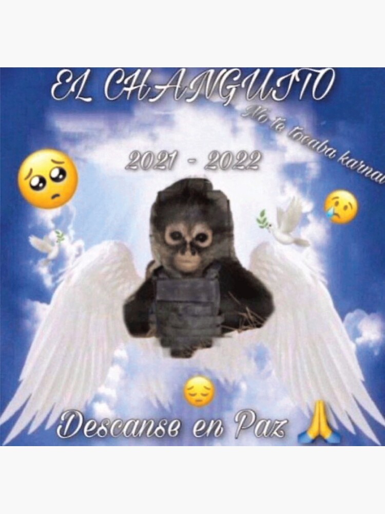 Lámina artística «mono changuito cartel del mono araña mexicano ...