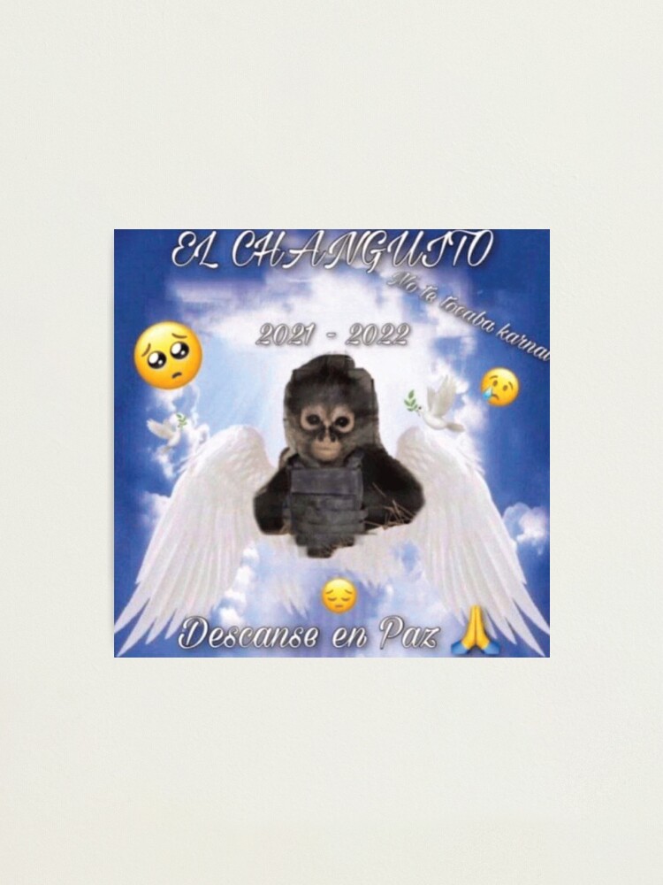 Lámina fotográfica «mono changuito cartel del mono araña mexicano ...